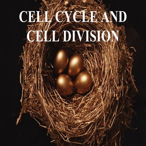 Cell cycle and cell division | PPT