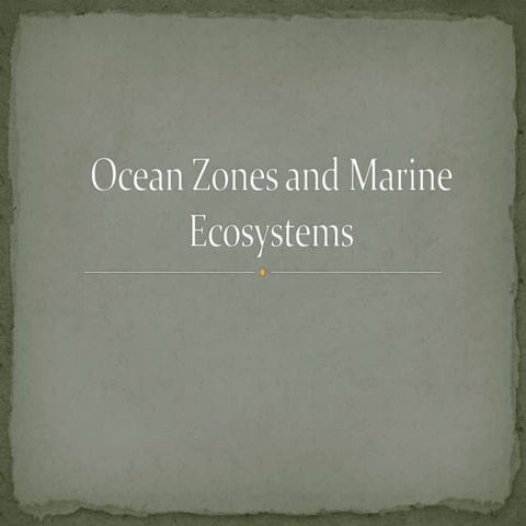 Ocean Zones and Marine Ecosystems Notes | PPTX | Geography | Science