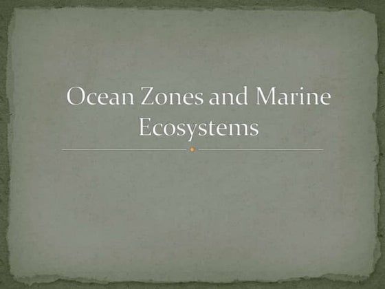 Ocean ecosystem | PPT