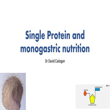 10. dr david cadogan feedworks - single cell protein types, benefits ...