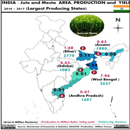 10.2 India Jute and Mesta Area Production and Yield whole map 2016 2017 ...