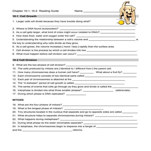 Ch. 10-1 to 10-3 Guided Reading | DOC
