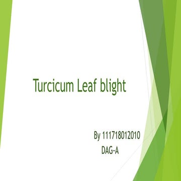 TURCICUM LEAF BLIGHT | PPTX