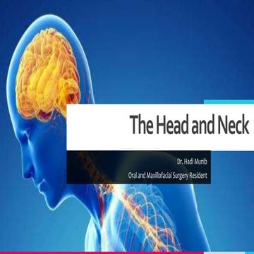 The Head and Neck | PPTX