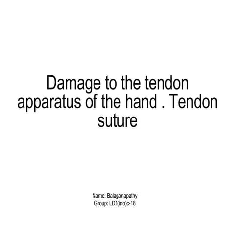 Tendon and Ligaments Structure Presentation | PPTX