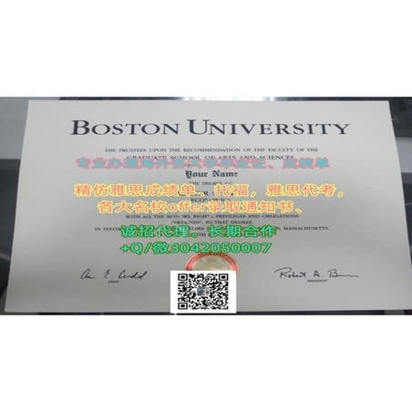 10波士顿大学.pdf