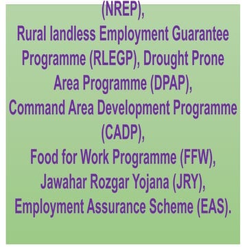 10.National Rural Employment Programme.pptx