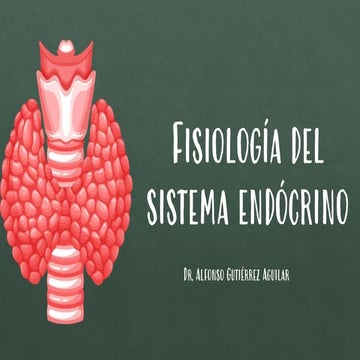 Resumen de Histología del Sistema Endocrino - Histología de Ross 7ma Ed ...