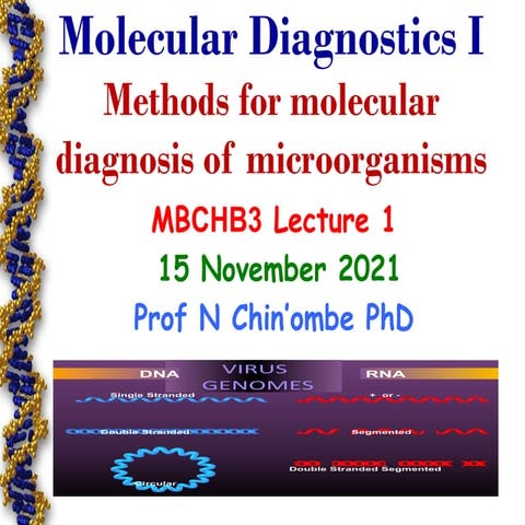 10 Molecular Diagnostics I Probe Hybridization 1 Pdf