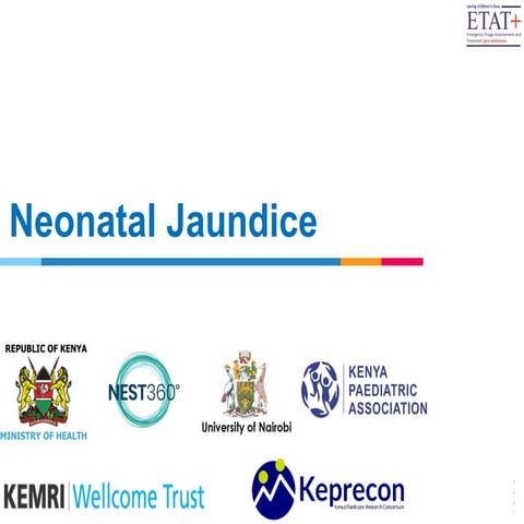 neonatal_jaundice_NICE_threshold_graphs (7).pdf