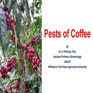 Pests of Coffee_Identification_IPM_Dr.UPR.pdf