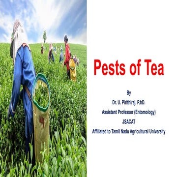 Pests of Tea_Bionomics_Identification_IPM_Dr.UPR.pdf