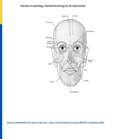 anatomy of head and neck in dentistry .ppt