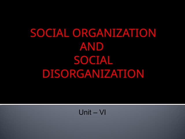 Social organization.pptx