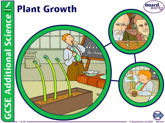 NSO plants grade 2 for standard 1st and 2nd | PPTX | Gardening | Home ...