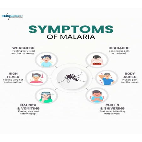 Symptoms of Malaria | Early Warning Signs & Health Awareness | PDF