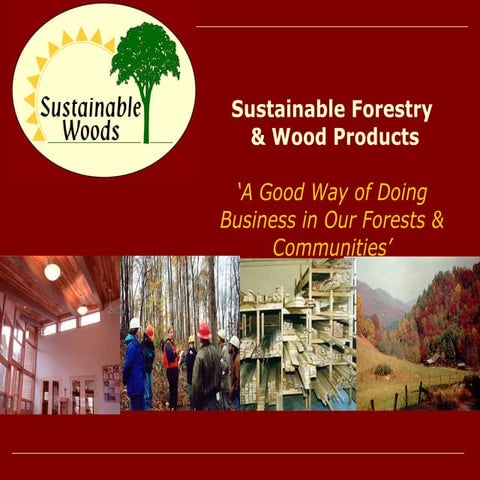 Sustainable Forestry & Wood Products | PPT