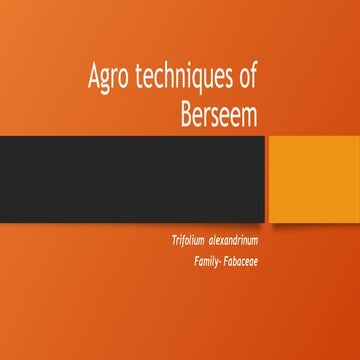 berseem crop production and its cultivation .pptx