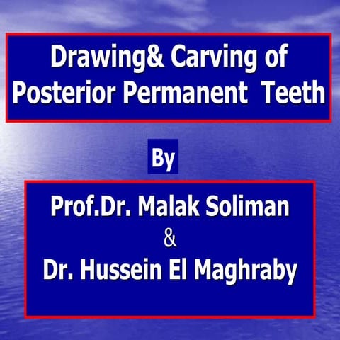 10 drawing of-posterior_teeth_-practical_-_4 | PDF