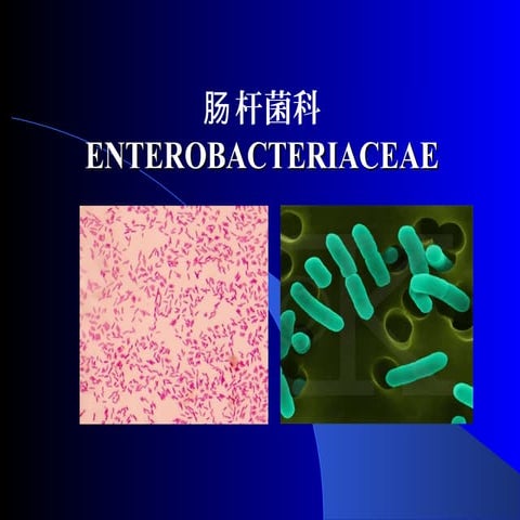 10 enterobacteriaceae | PPT