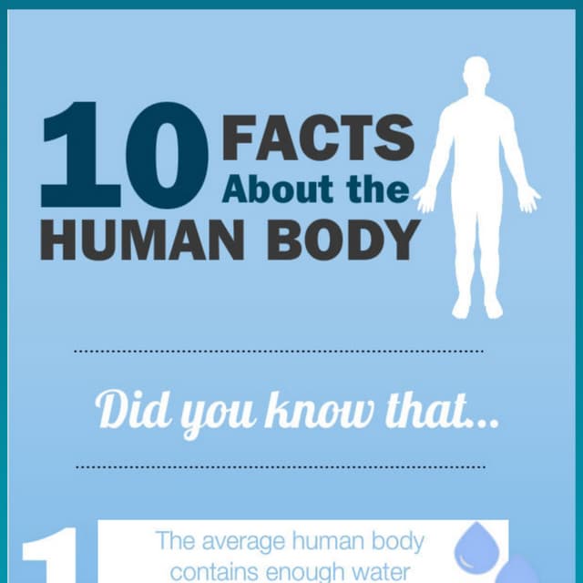 10 Facts About The Human Body | PDF