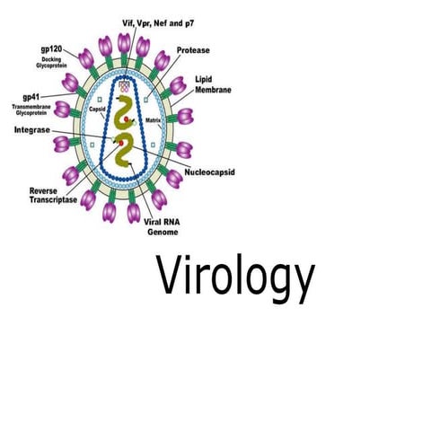 10- Introduction to Viruses Classification, morphology and structure ...