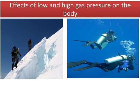 Physiology of high altitude | PPT