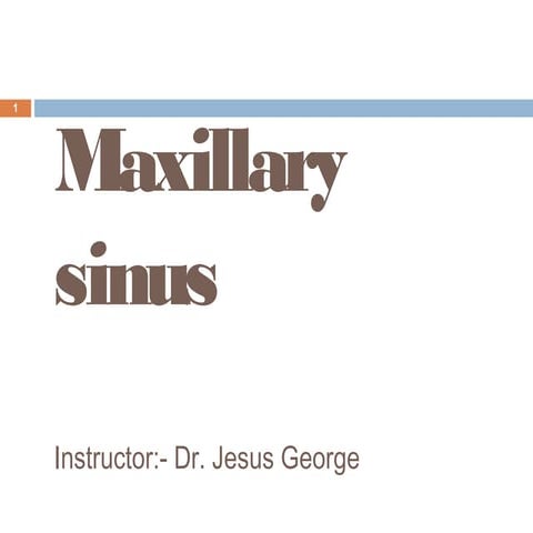 10 maxillary sinus | PPT