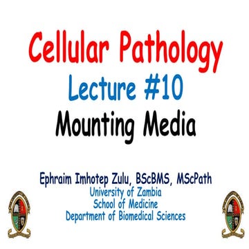 10 - Mounting Media.pdf