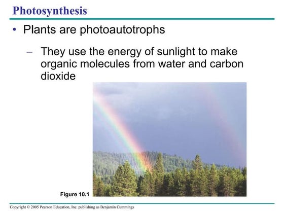 Photosynthesis light dependent reactions | PPTX | Chemistry | Science