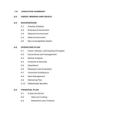 10. Simple Strat Plan Outline | DOC