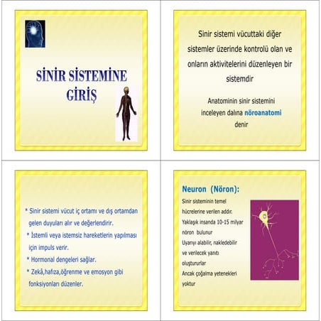 10 sinir sistemigenebilgiler-dis3-2015 | PDF