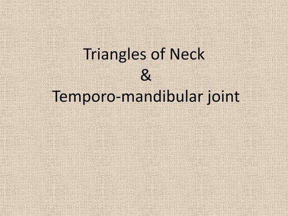 Lumbar triangle(Petit’s triangle) and it’s anatomical characteristics ...
