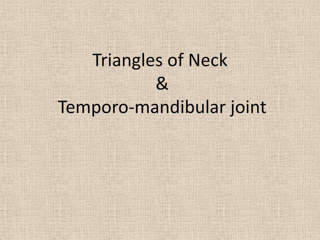Lumbar triangle(Petit’s triangle) and it’s anatomical characteristics ...