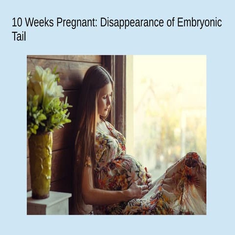 10 Weeks Pregnant: What to Expect | Pregnancy Week By Week | ODP ...
