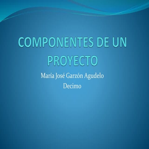 Componentes del proyecto 1001 | PPTX