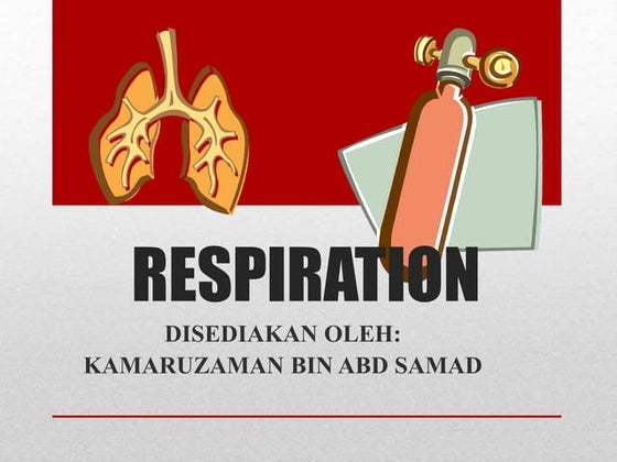 Respiration & Gas Exchange | Cambridge IGCSE Biology | PPT