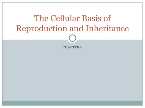 Bio chapter 5 | DOCX | Reproductive Health | Diseases and Conditions