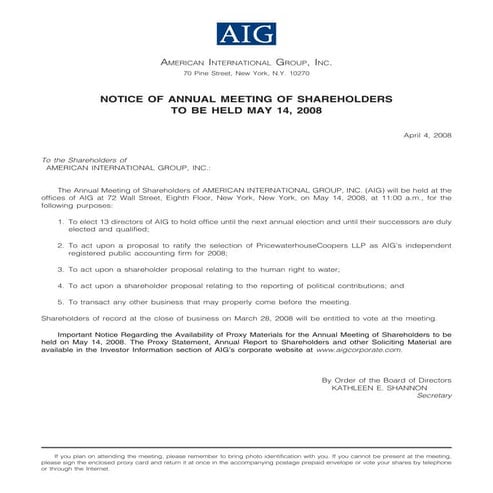 AIG AIG Annual Reports and Proxy Statements 2008 Proxy Statement | PDF