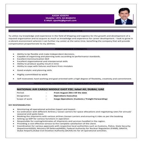 AJ CV | DOC | Air Travel | Travel Type