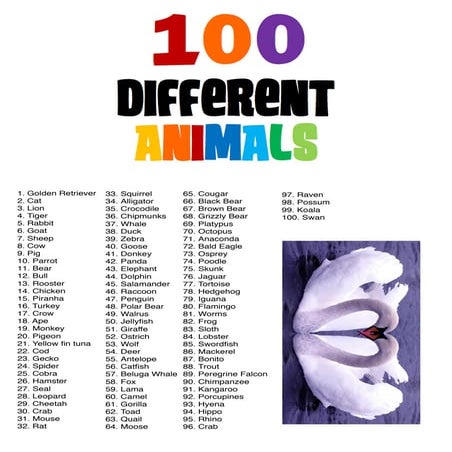 List of 100 animals with their sexes young group home sound | PDF