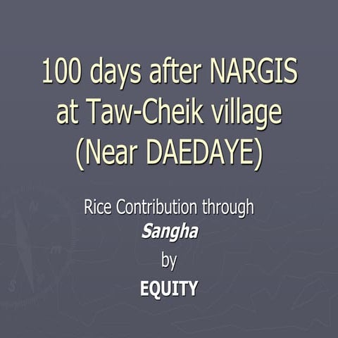 100 days after nargis | PDF