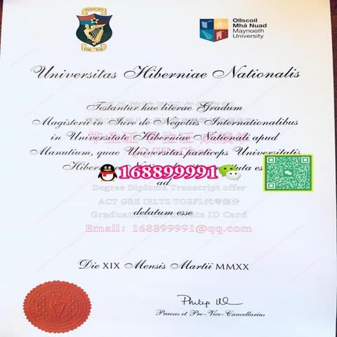 National University of Ireland, Maynooth Diploma Degree Transcript | PDF