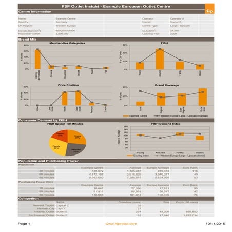 Outlet Insight by FSP | Example European Outlet Centre Report | PDF