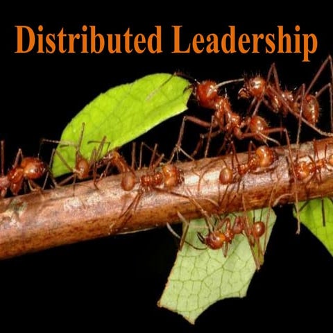 101126 Distributed Leadership | PPTX