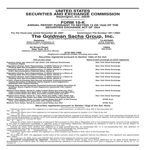 goldman sachs 2007 Form 10-K | PDF