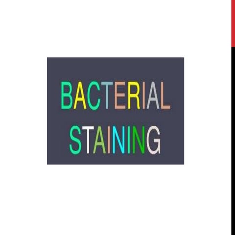 Gram Staining Pdf Pdf