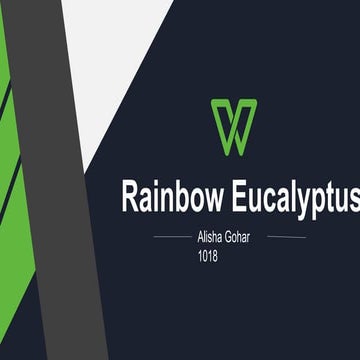 Rainbow eucalyptus | PPTX