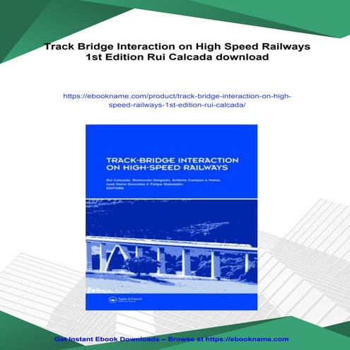 Track Bridge Interaction on High Speed Railways 1st Edition Rui Calcada ...