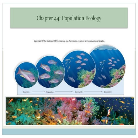 Population growth curves | PPTX